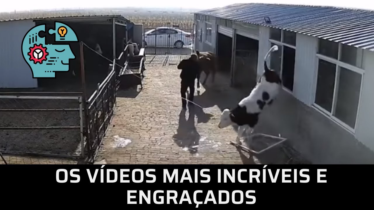 OS VÍDEOS MAIS INCRÍVEIS E ENGRAÇADOS DA INTERNET! - YouTube