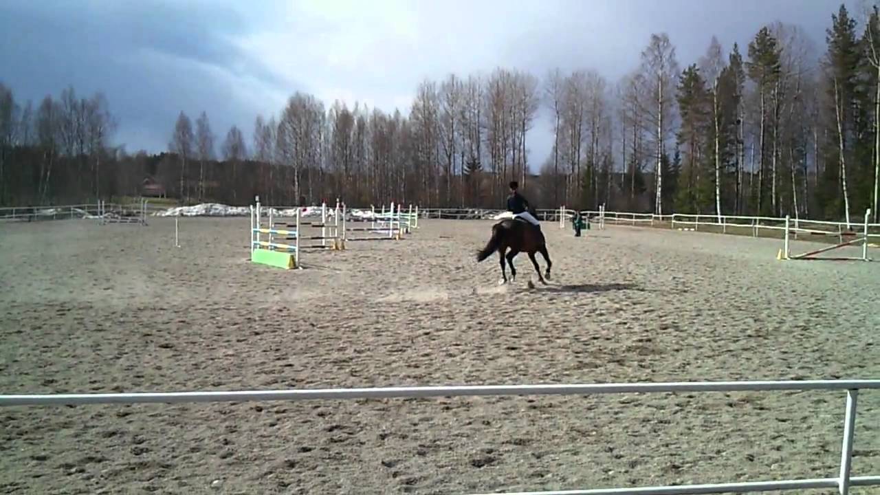 Sandra 110 - YouTube