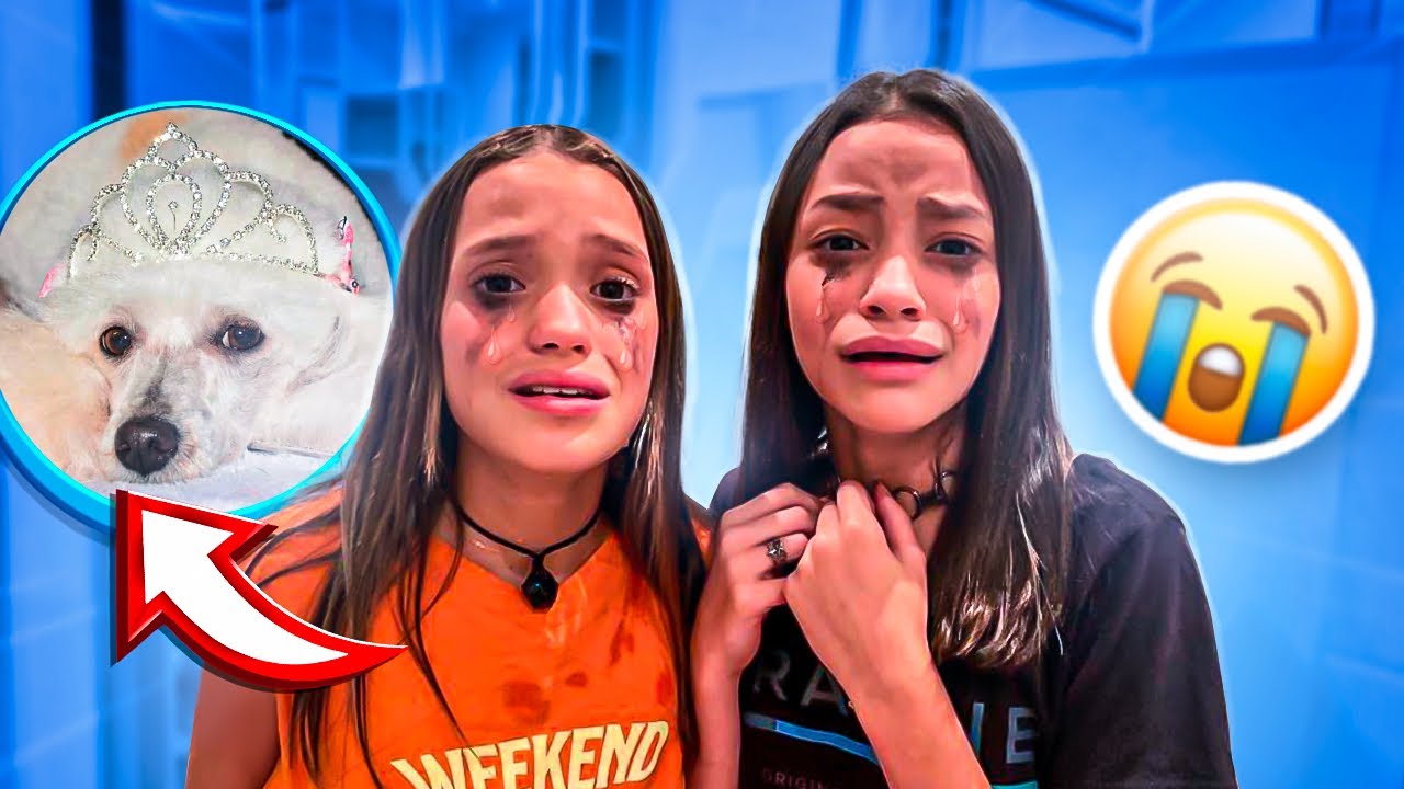 ROUBARAM NOSSA CACHORRINHA NO PETSHOP - MICHELLE MAIA - YouTube