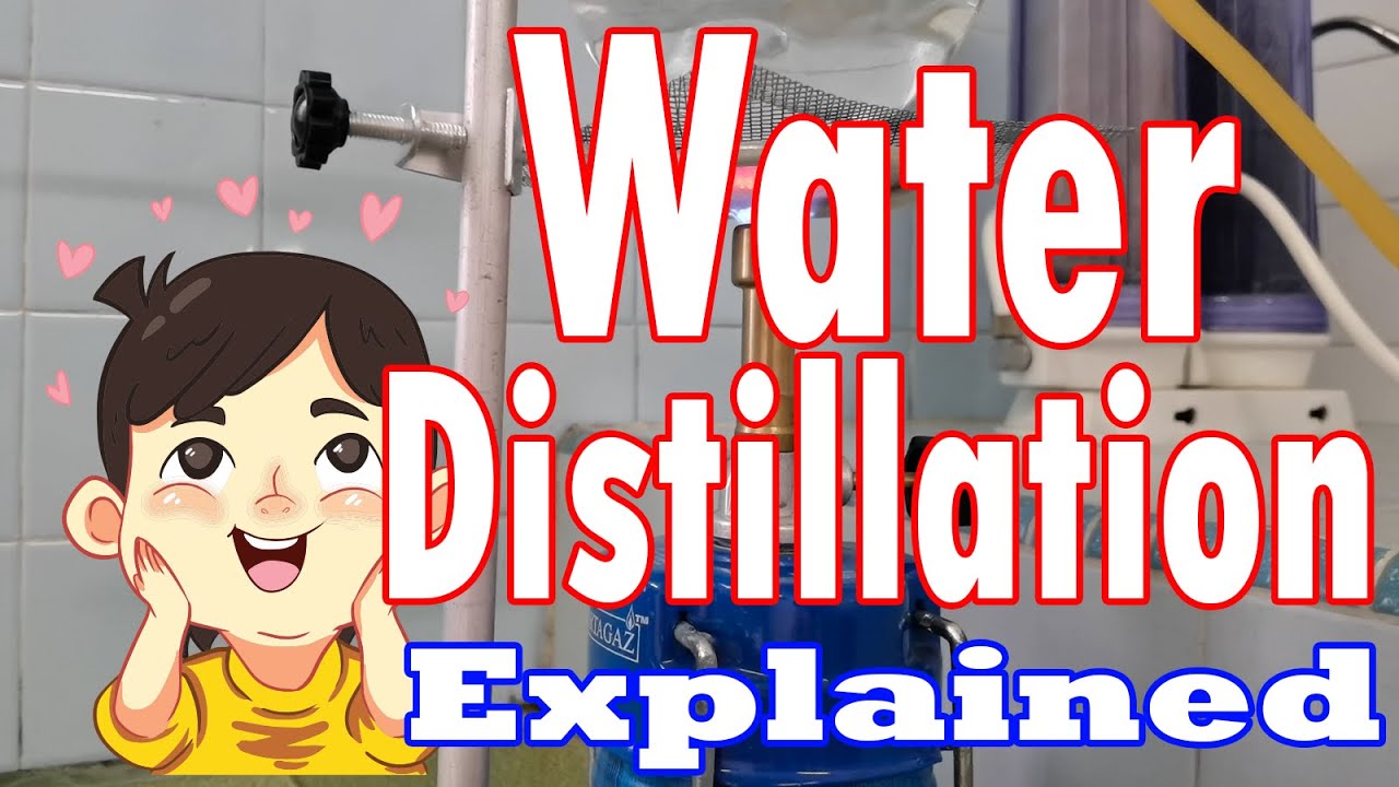 Simple Distillation for Kids - How to produce distilled water ...