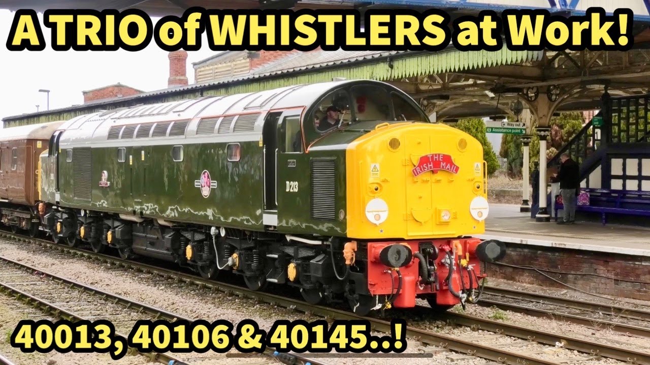 A TRIO of Class 40 'WHISTLERS' at work during 2023..! 40013, 40106 ...