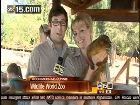 Say good morning to Connie Colla! - YouTube