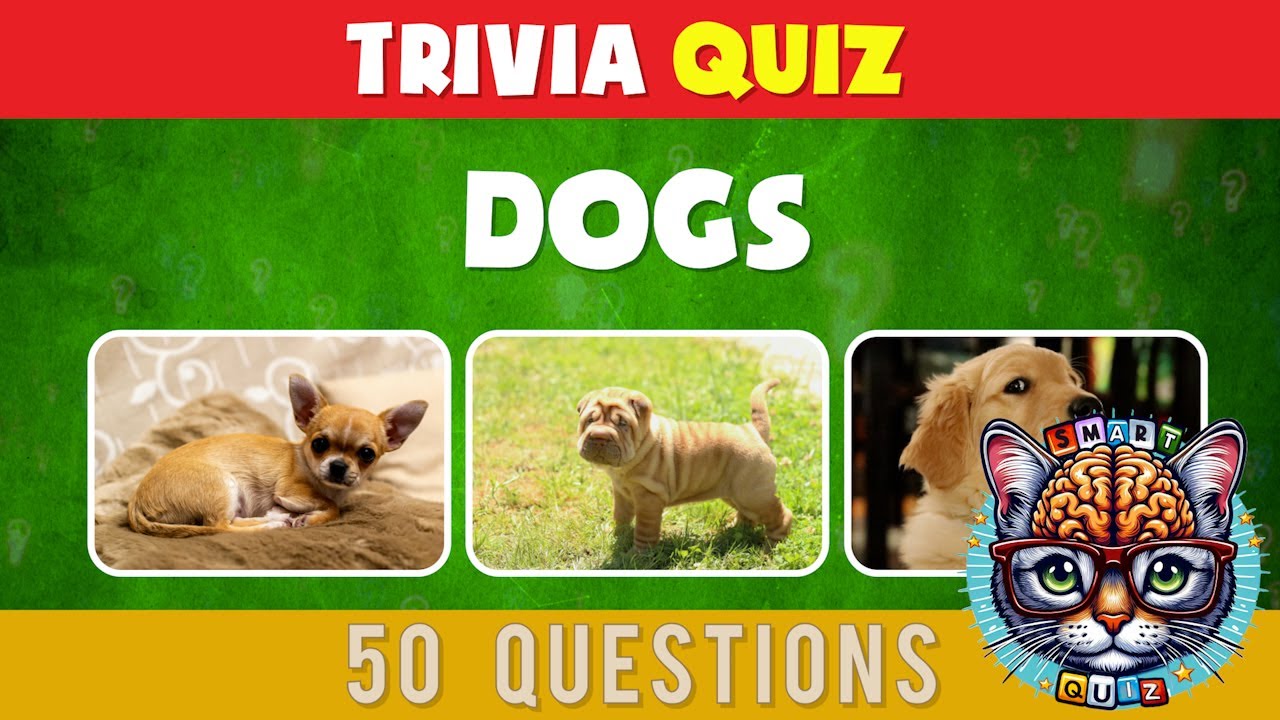 🐶 Woof! Test Your Dog Knowledge! Trivia Quiz 🦴 🧠 - YouTube