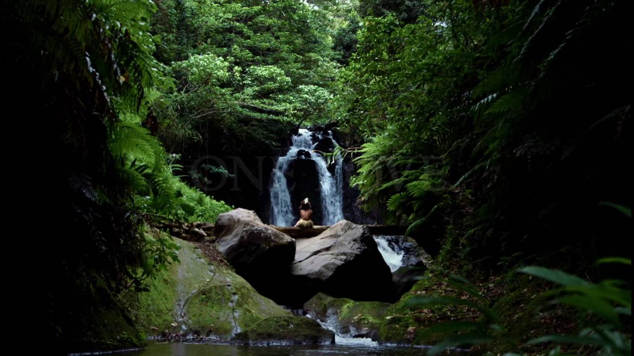 Tanna Official Trailer - YouTube