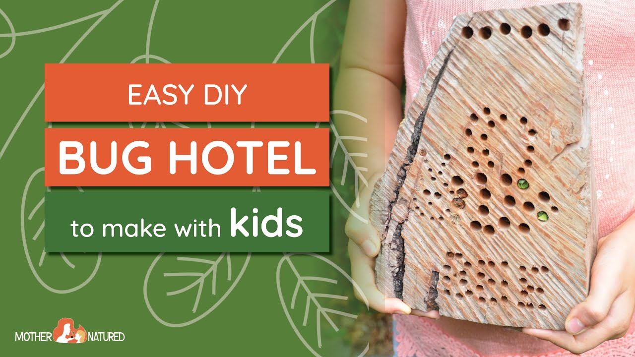 A DIY bug hotel for kids. SO EASY! - YouTube