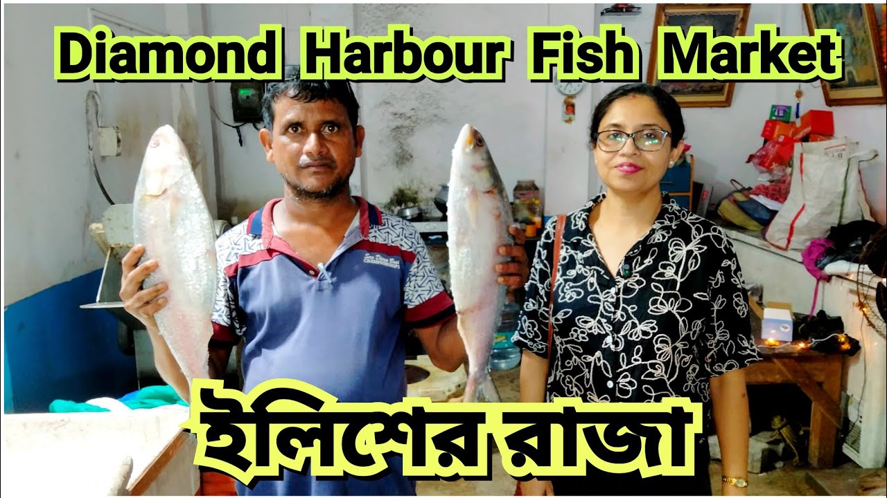 Diamond Harbour Fish Market - Diamond Harbour Nagendra Fish Market ...