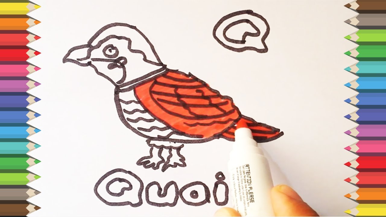 How to Draw a Quail After Writing Letter Q l Easy Quail #quail # ...