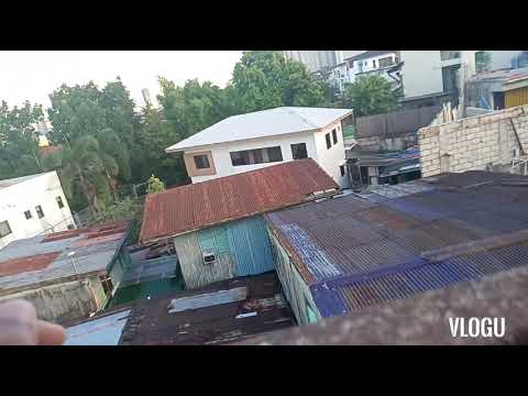 Visit my neighbor Garden Sir Robert | Gulay ,prutas,bulaklak ,ibon at ...