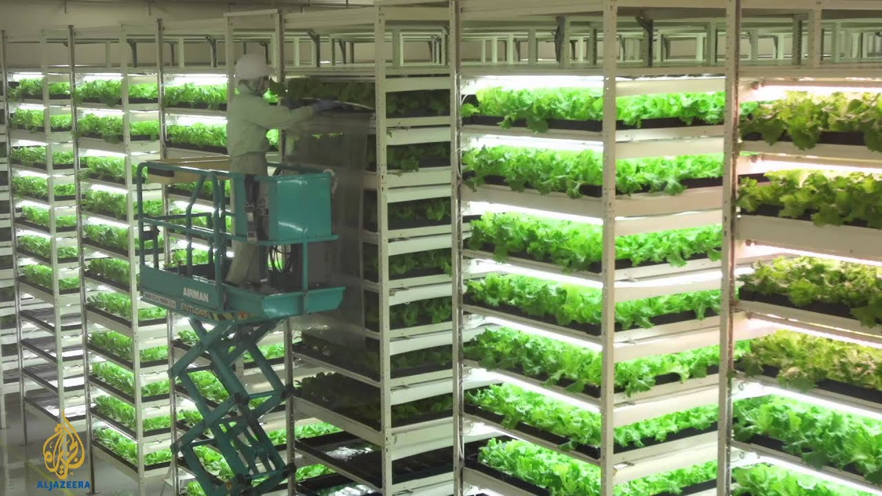 Earthrise - Ancient Canals; Future Farms; Cryocoral Conservation - YouTube
