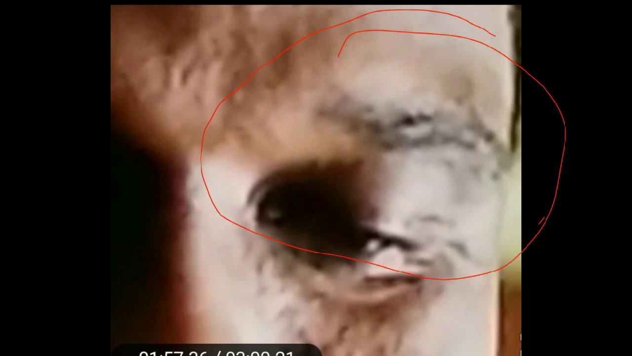 Mask / Body Suit Malfunction Tyler Perry/ Will Smith (Part 1) - YouTube