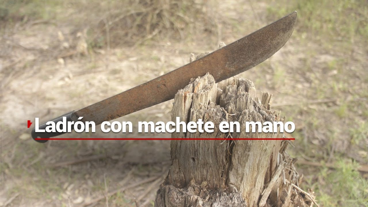 ¡HISTORIA DE LOCURA! | Vecinos auxiliaron a un chofer de aplicación ...