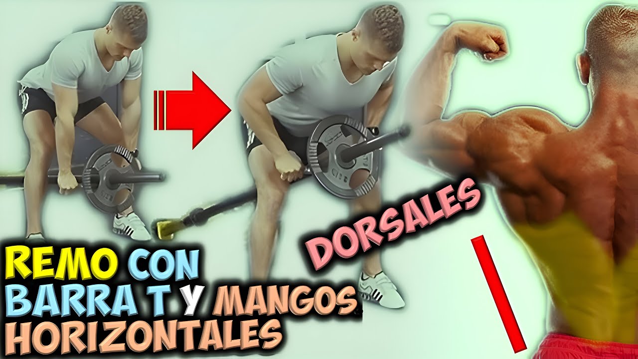 EJERCICIO Para DORSALES El REMO Con BARRA T 👉 Utilizando MANGOS ...