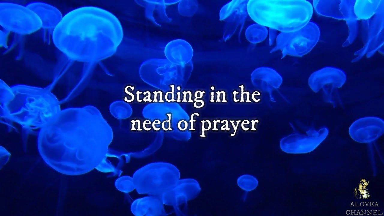 Here I Am - Kevin Levar (Lyrics) - YouTube