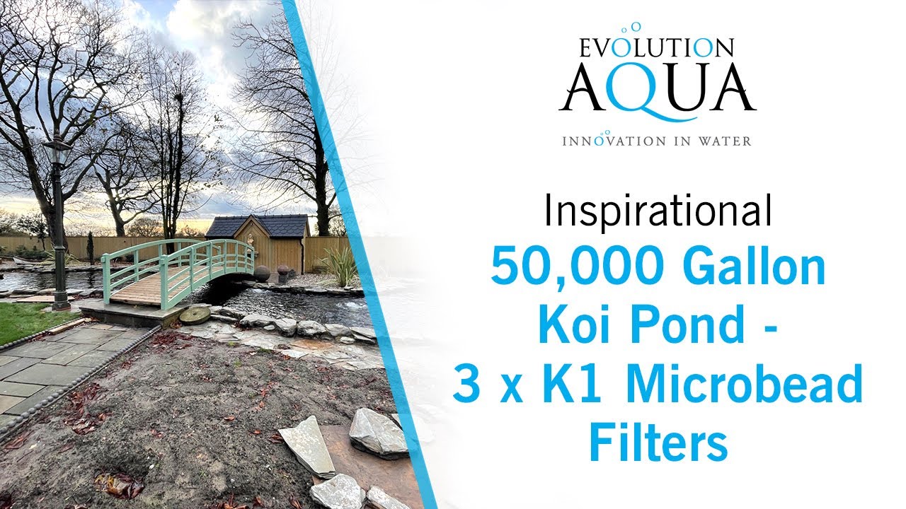 50,000 Gallon Koi Pond... 3 x Evolution Aqua K1 Microbead Filters - YouTube