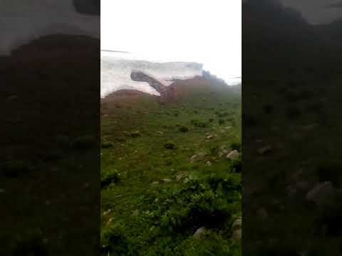 Baxcalar kendi Azer Serxan daginda 09.06.2019 (2)