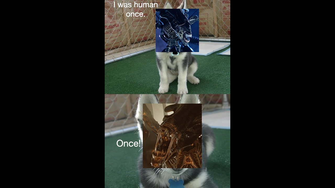 Blue Marsalis: The Woman Turned Xeno - YouTube