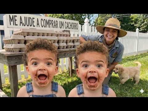 Vendendo ovos na porta de casa nos Estados Unidos