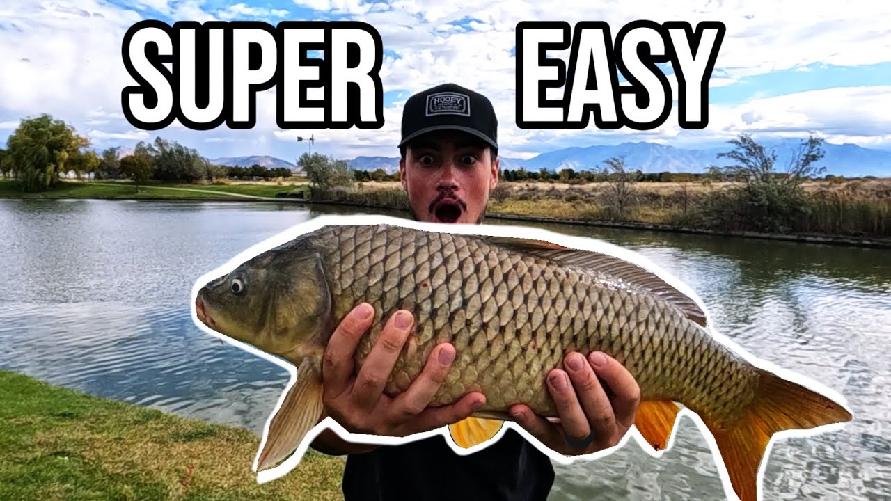 How to catch a carp in 3 Minutes (SUPER EASY) - YouTube