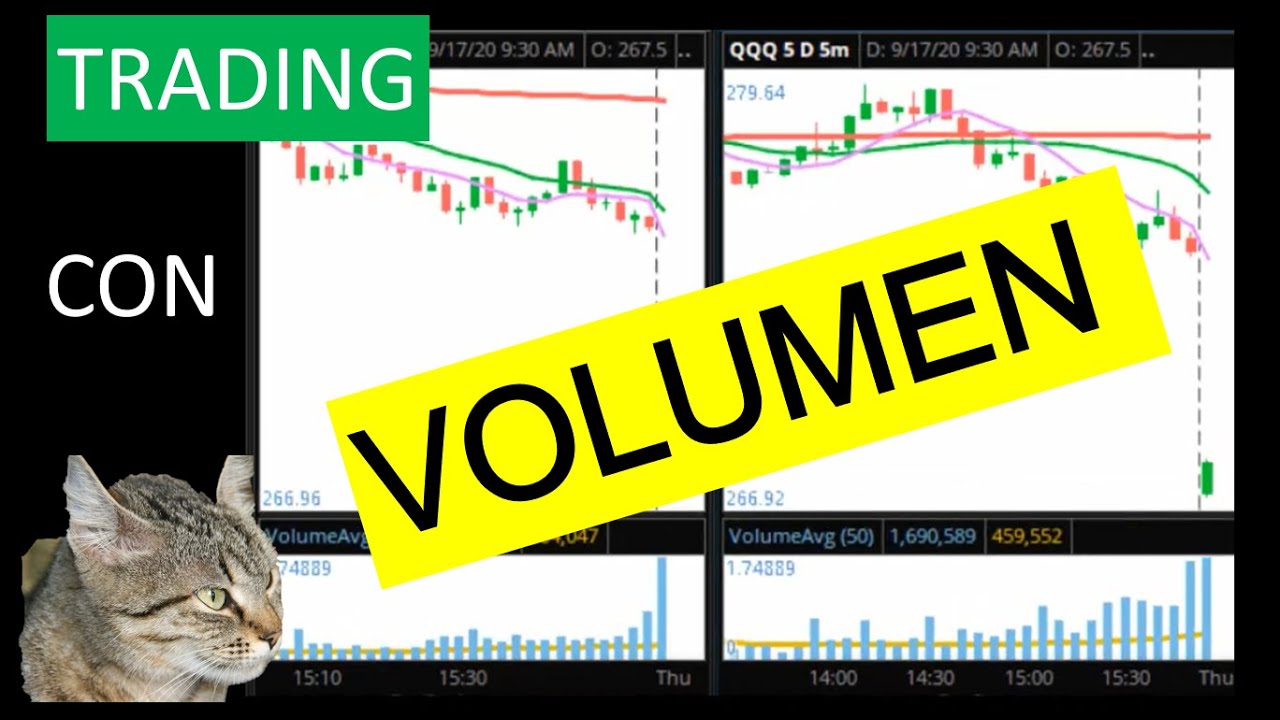 Aprendiendo a leer el volumen en trading 📊 - YouTube