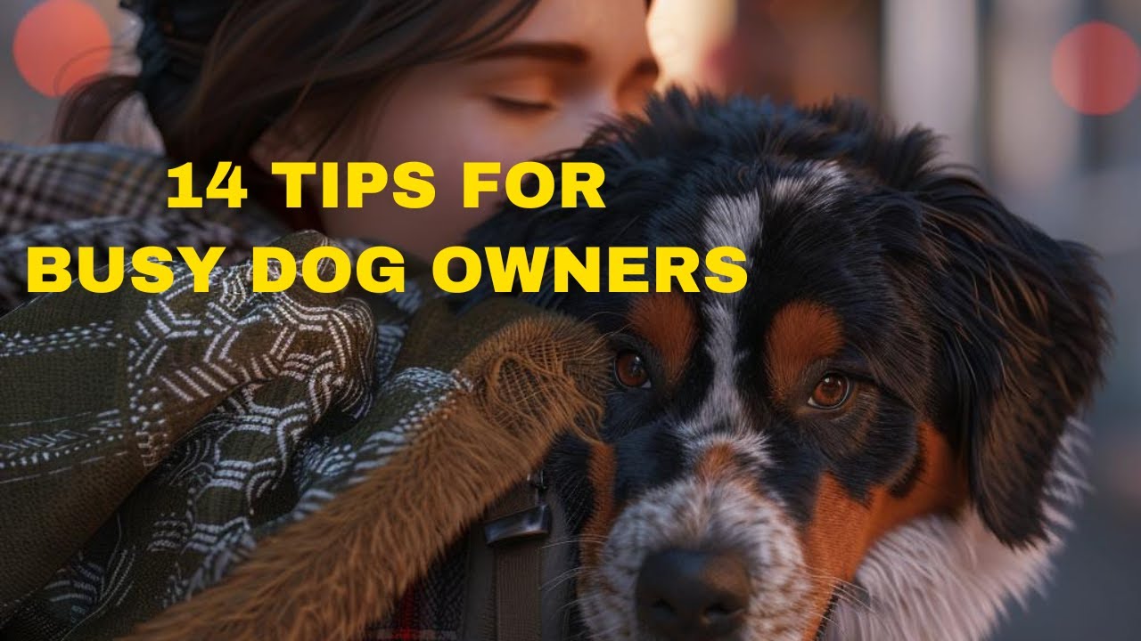 14 LIFE HACKS For BUSY Dog OWNERS - YouTube