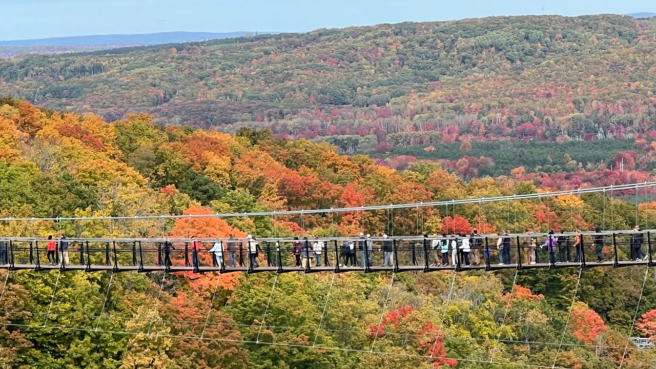 Mitten Fall Colors, Boyne Mountain SkyBridge and Petoskey Road Trip ...