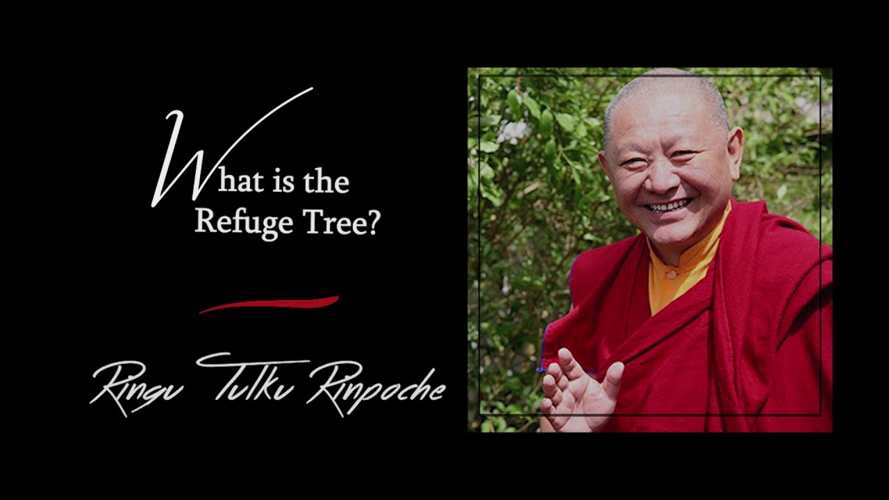 46. What is the Refuge Tree? | Answers for Beginners | Ringu Tulku ...