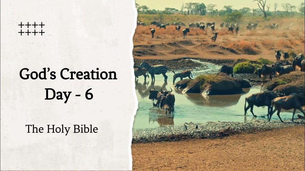 God’s Creation - Day 6 - YouTube