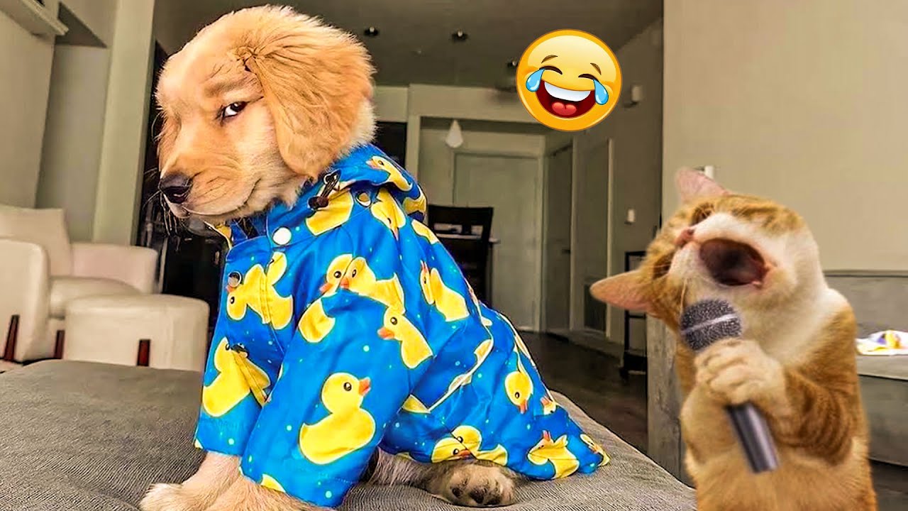 Smartest Pets Ever Super Smart Pets Compilation😂I Would Die Laughing ...