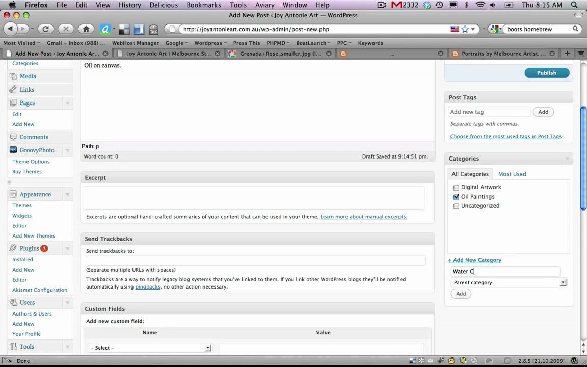 Editting Wordpress with A WooTheme - YouTube