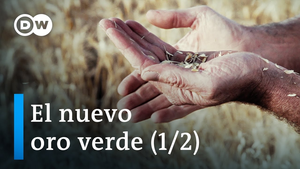 Tierras de cultivo: el oro verde (1/2) | DW Documental - YouTube