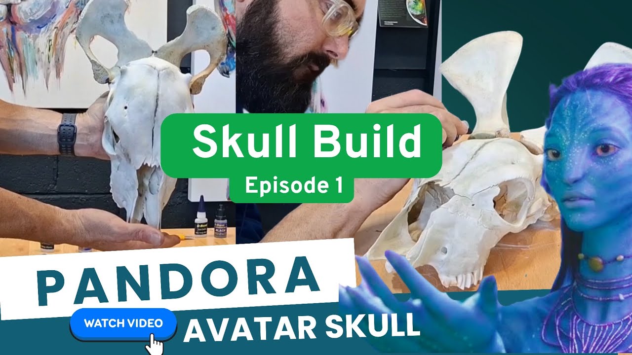 Skull Build Episode 1 | A Creature from Pandora Begins to Take Shape ...