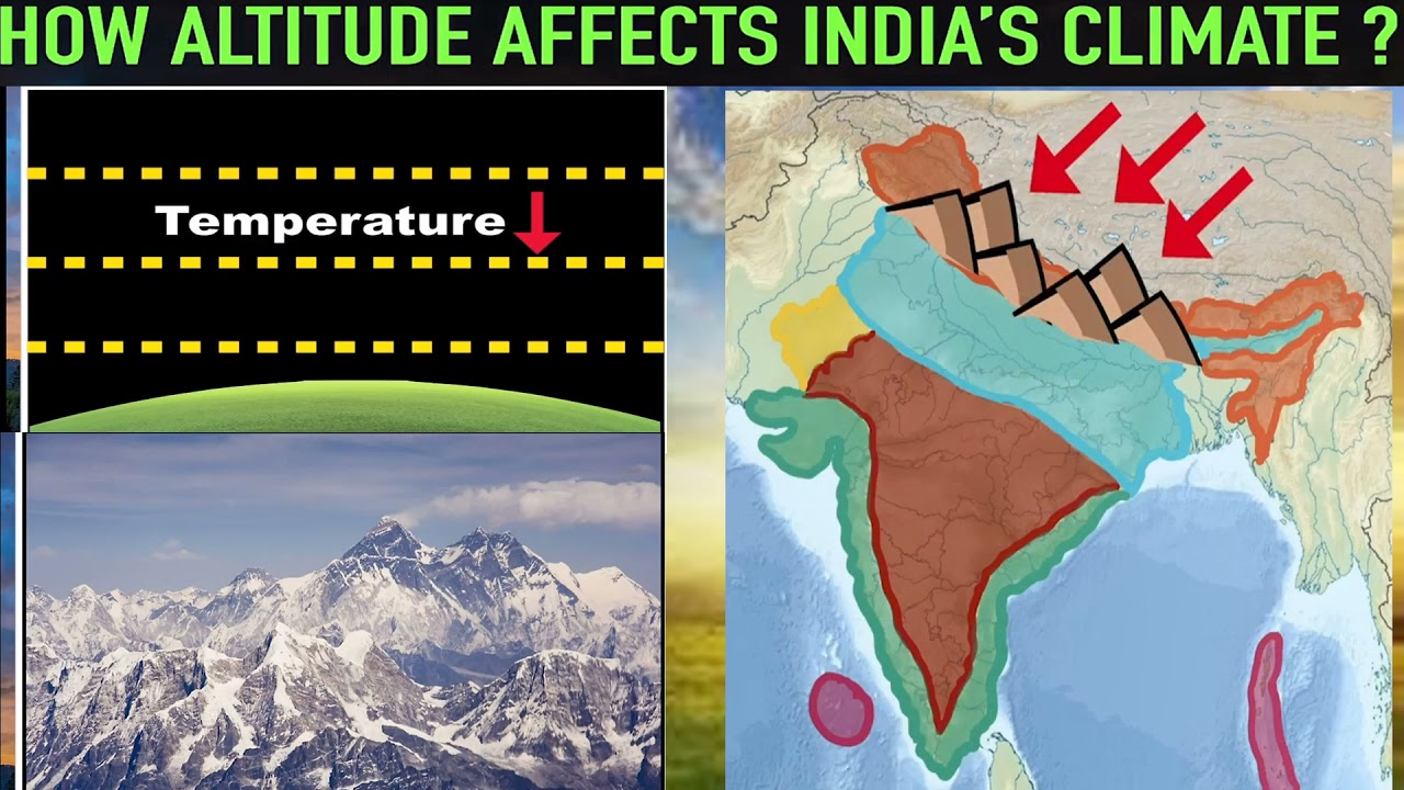 class 9 term 2 climate - YouTube