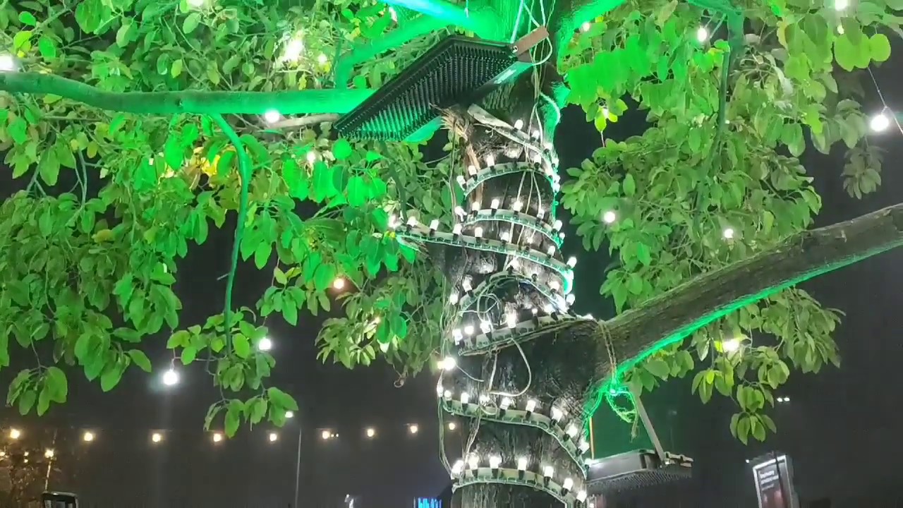 Christmas Celebrations in Mumbai l Bandra Reclamation Lit Up - YouTube