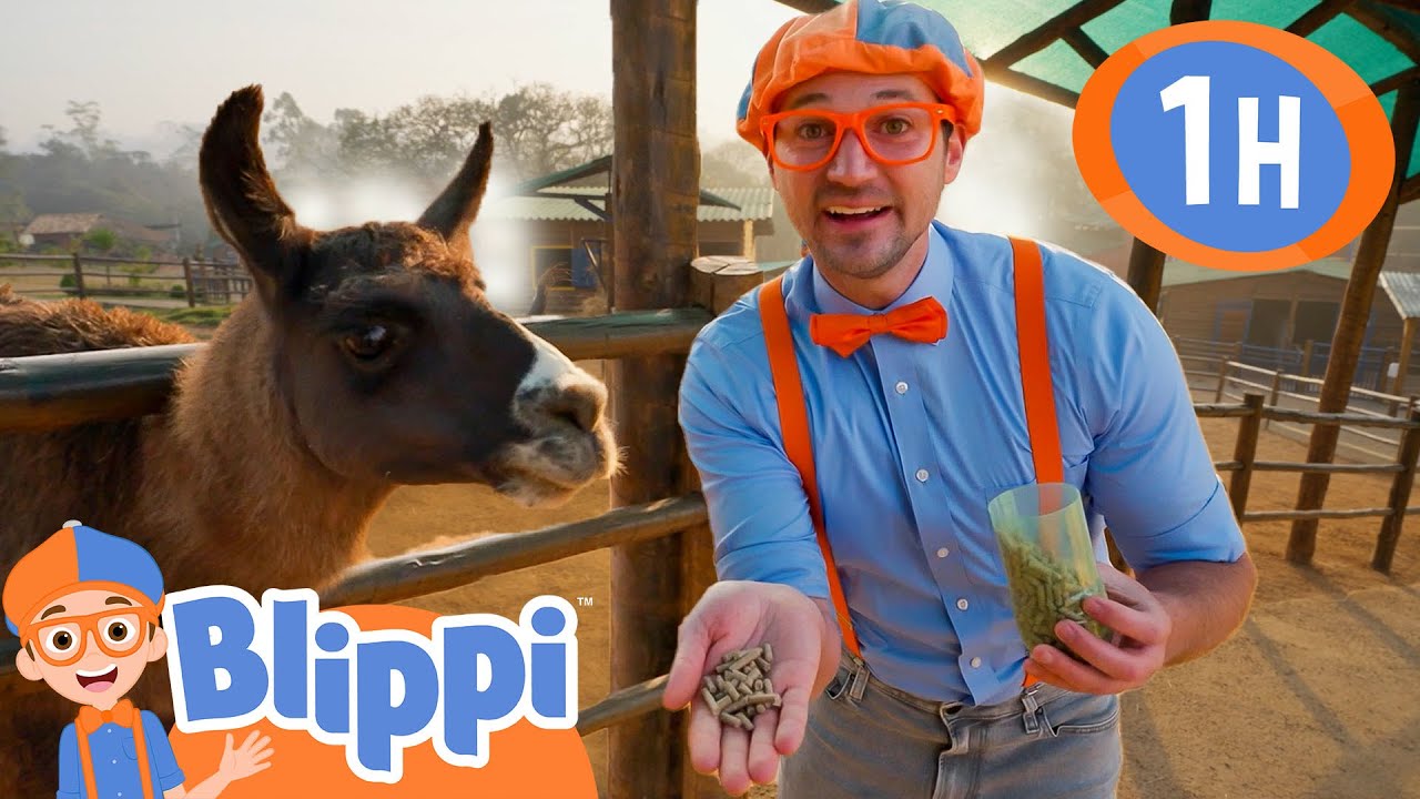 Blippi Meets a Cute Llama at a Petting Zoo in Brazil! | Blippi ...