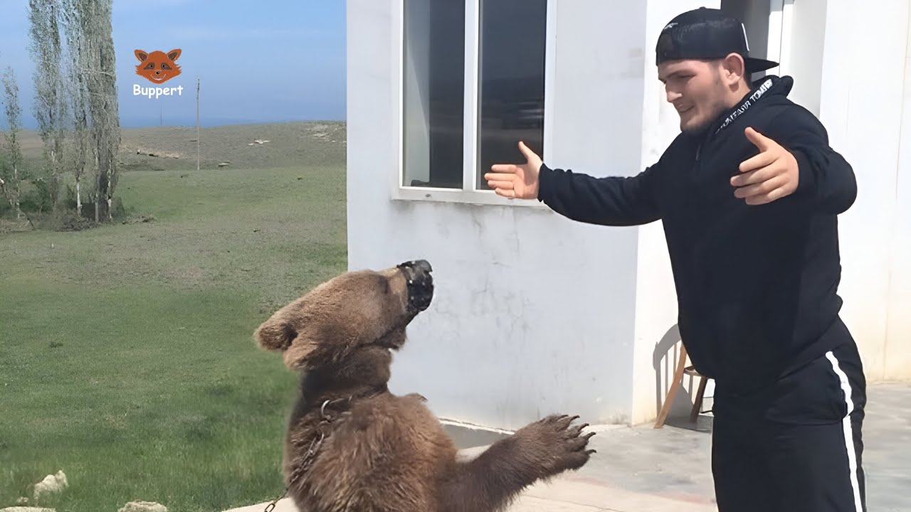 From Dagestan to UFC Champion: Khabib's Story | #khabibnurmagomedov # ...