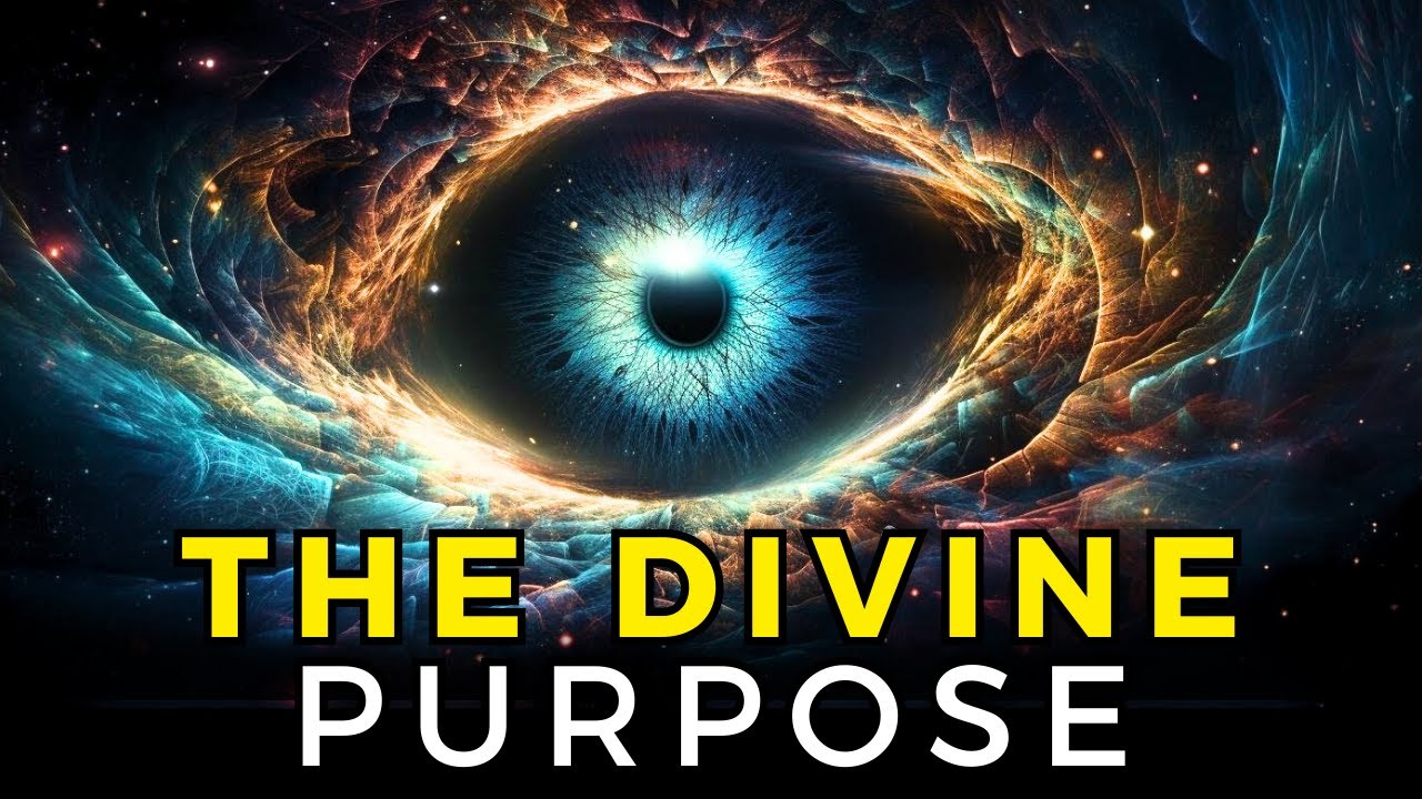 What Is The Divine Purpose Of The Universe In Your Life? - YouTube