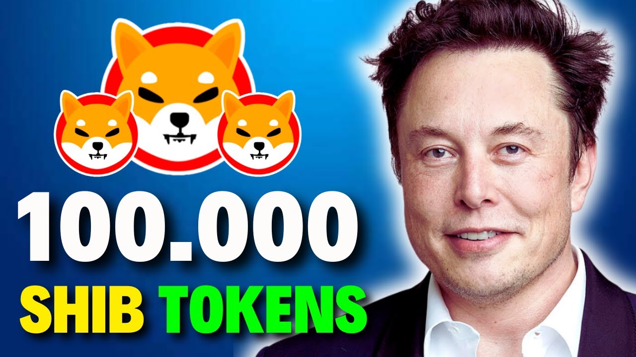 SHIBA INU ARMY: IF YOU HODL 100.000 SHIB TOKENS YOU MUST WATCH THIS ...
