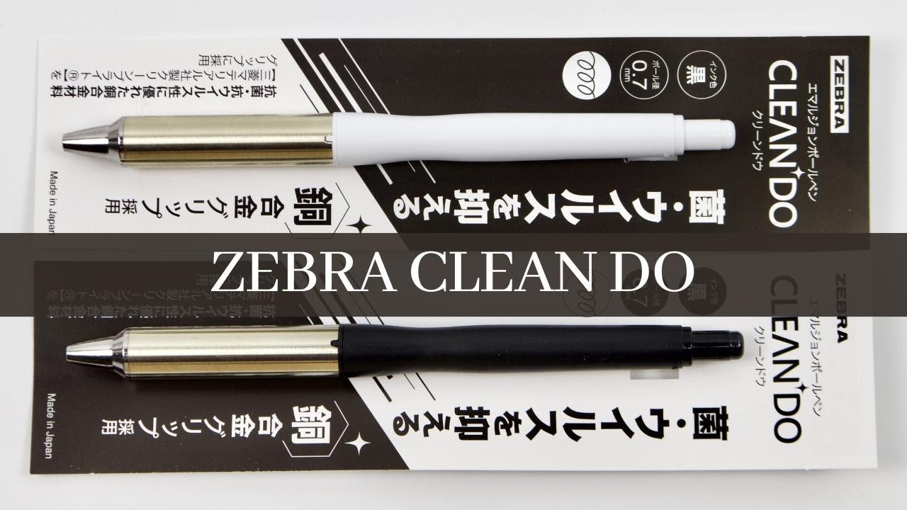 Zebra Clean Do - YouTube