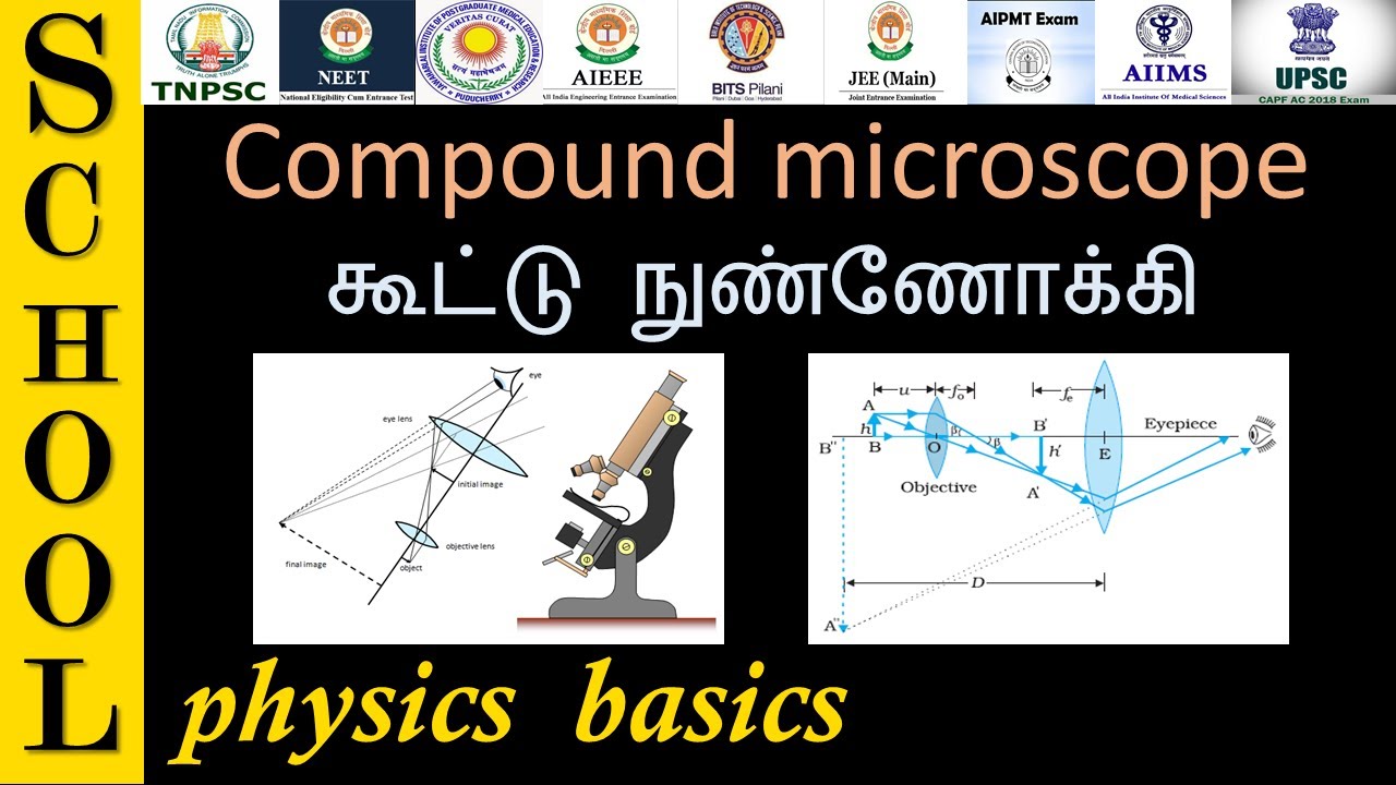 Compound Microscope - Ray Diagram | light | optics | 10 physics ...