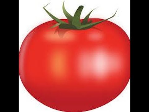 The Tomato Sounds Pretty Happy - YouTube