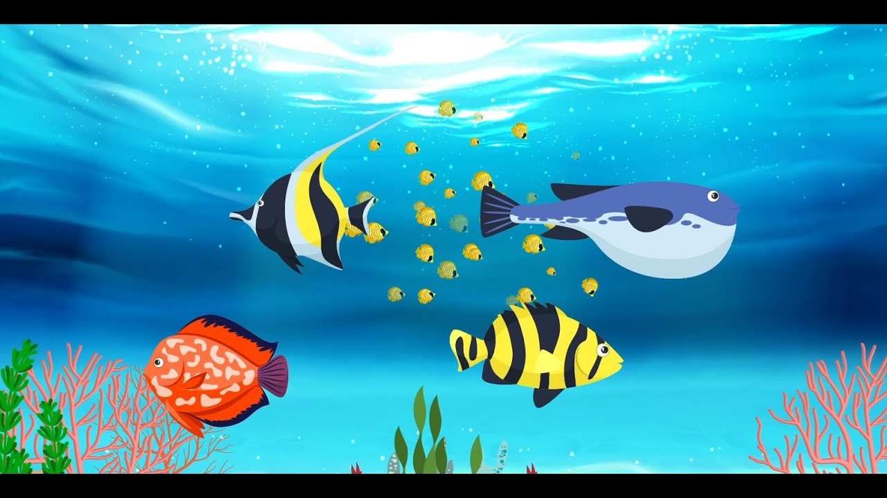 Underwater Animals Rhymes | Clean and safe oceans for Sea Animals - YouTube