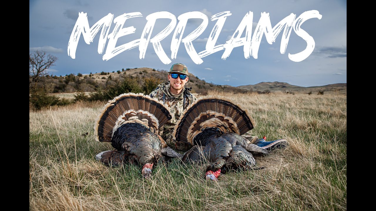 BEAU HUNTING - "Whackin' & Stackin'" - YouTube