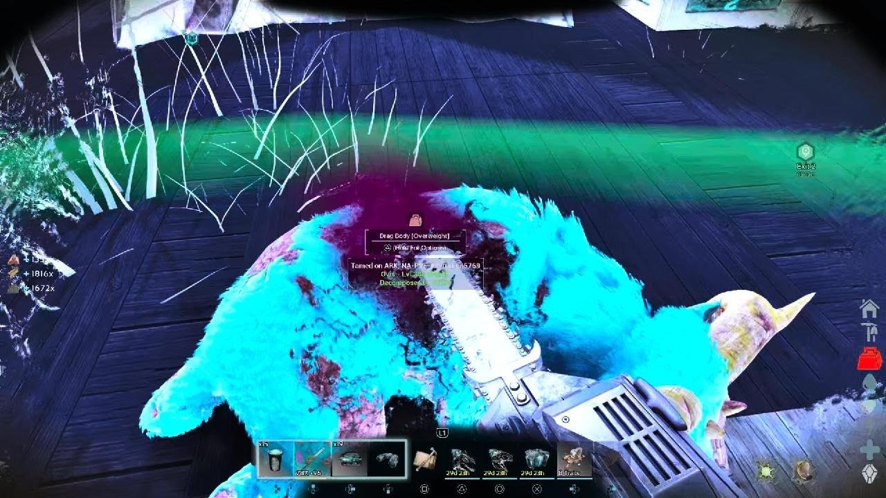 Ovis farming for hide and pelt - YouTube