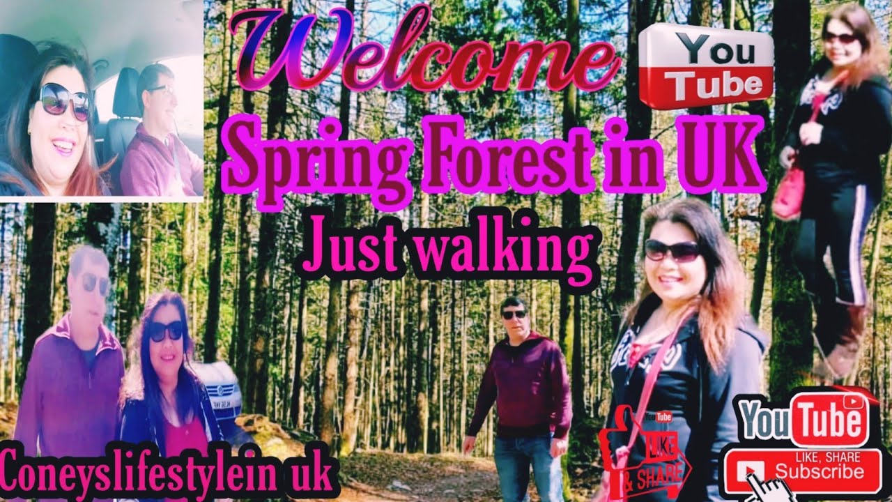 Spring Forest Walk in Savernake UK || Coneyslifestylein uk - YouTube