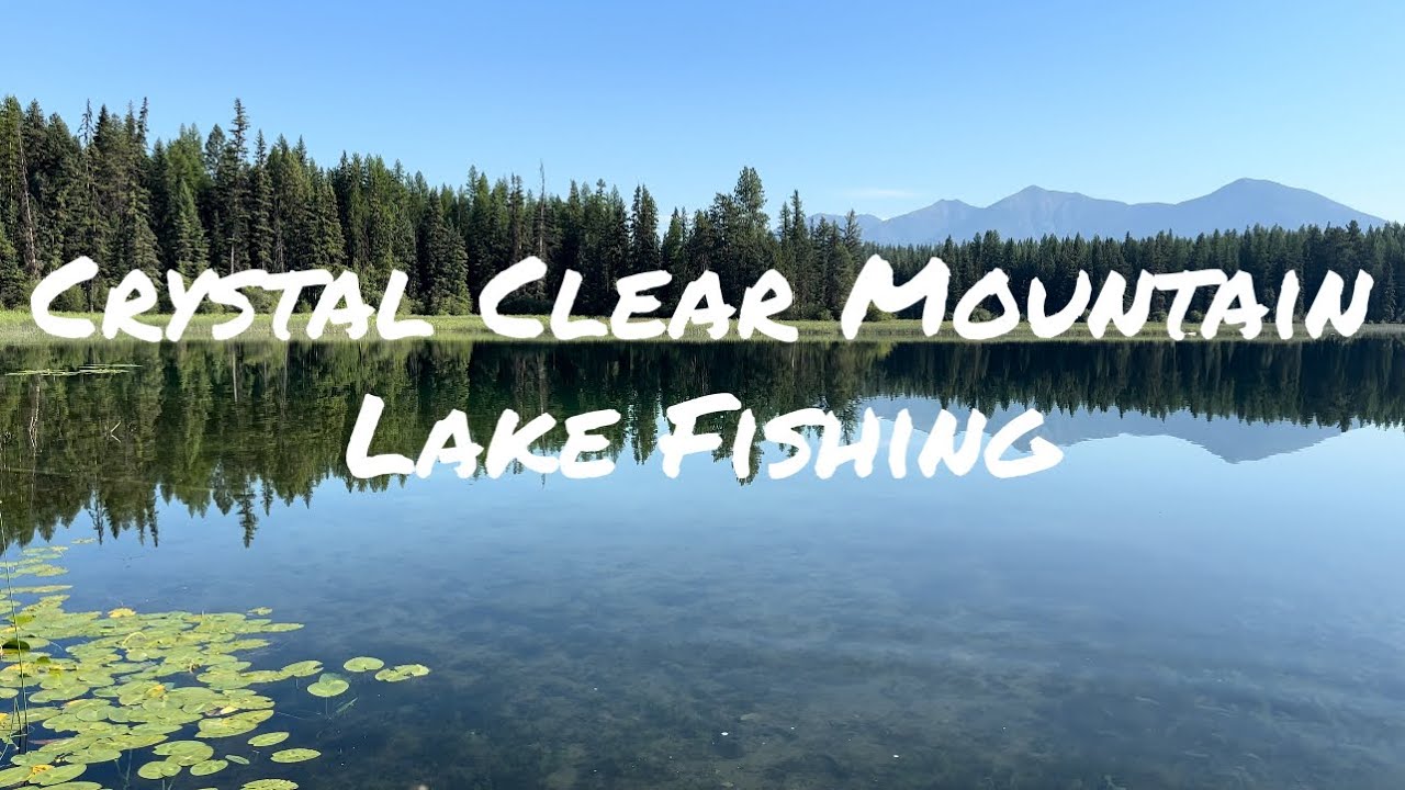 When Fishing Makes You Feel Like A Kid Again! Suzanne Lake Part One ...