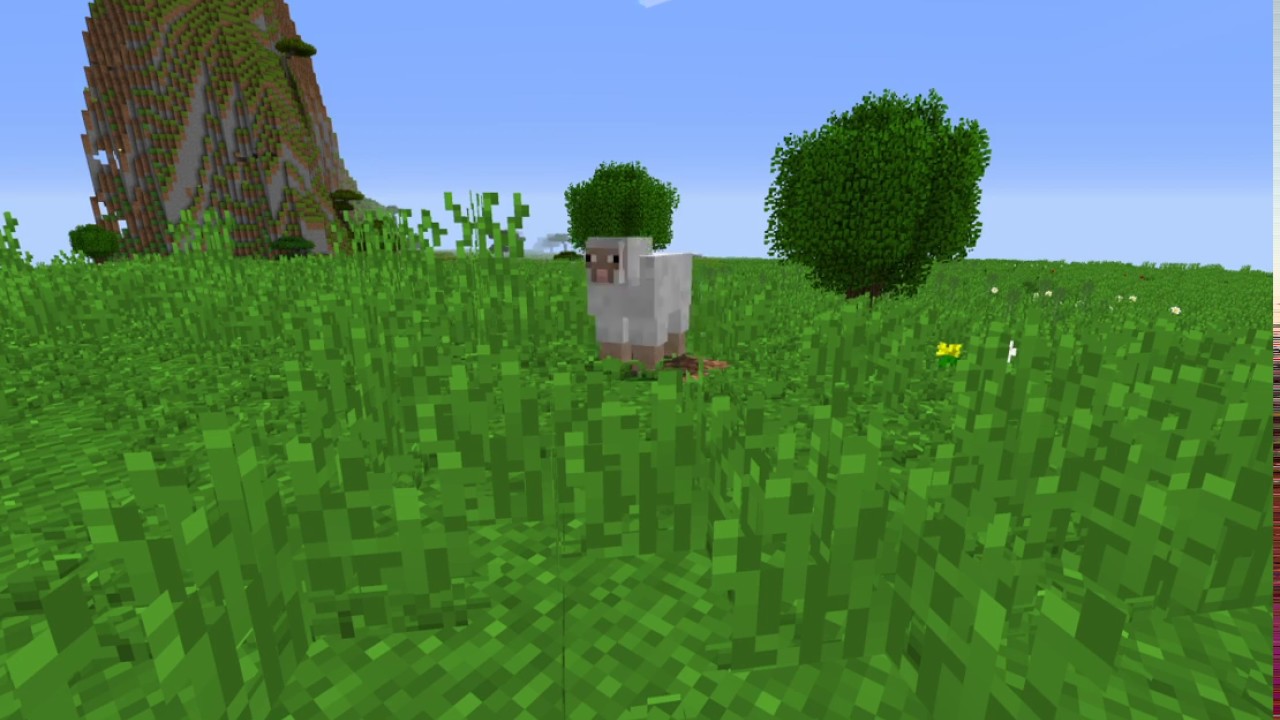 Short, calming video of Minecraft Sheep - YouTube