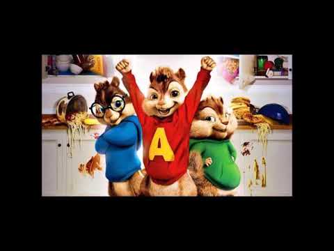 alvin ve sincaplar taylan kaya (kusura bakma)