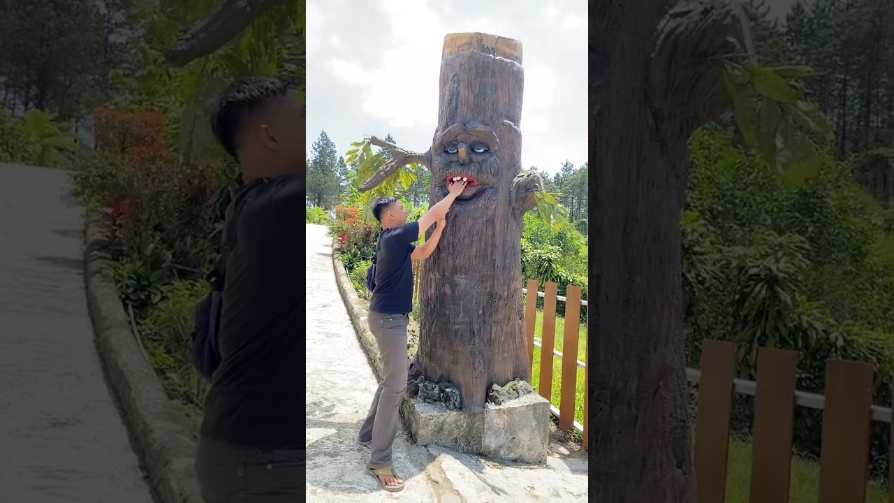 tanggan digigit pohon #shortvideo - YouTube