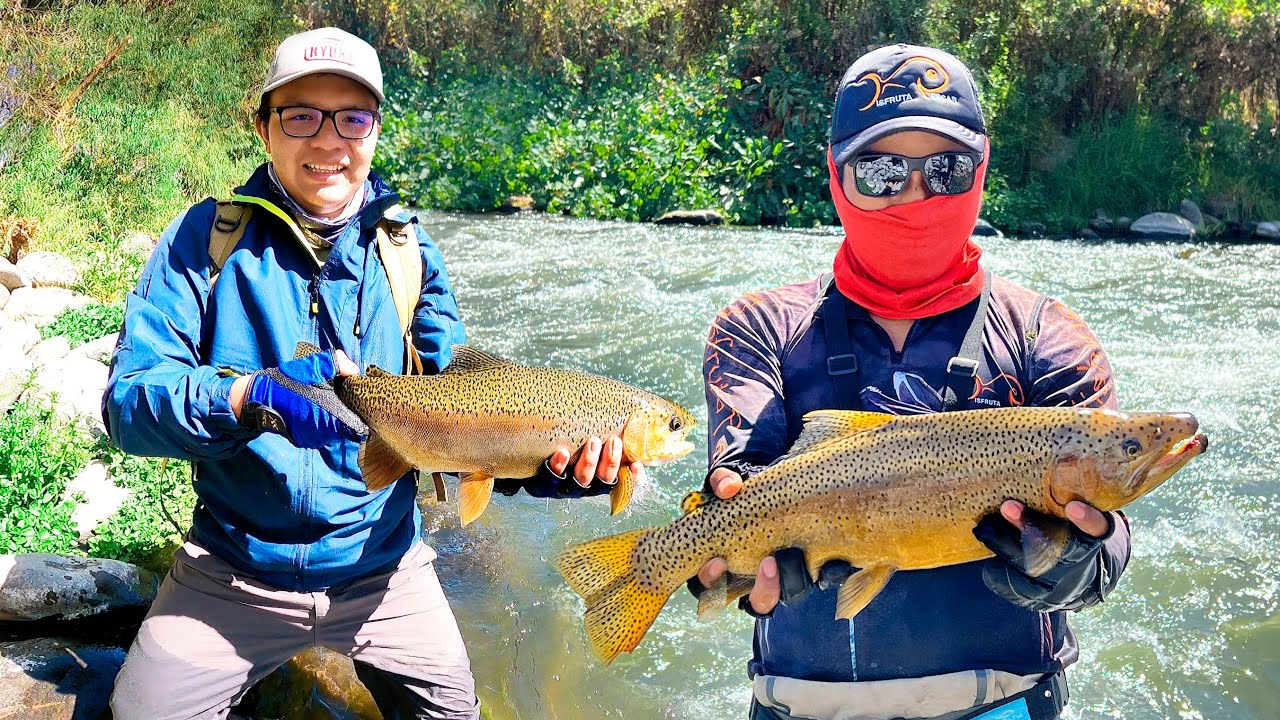 TRUCHA o SALMON?!! Semejantes capturas en el RIO - YouTube