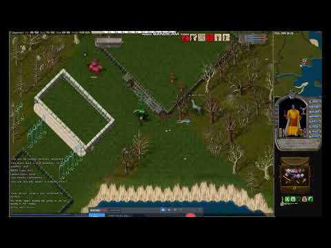 Ultima Online Demise PvP Kapero Ninja Atix vs FM